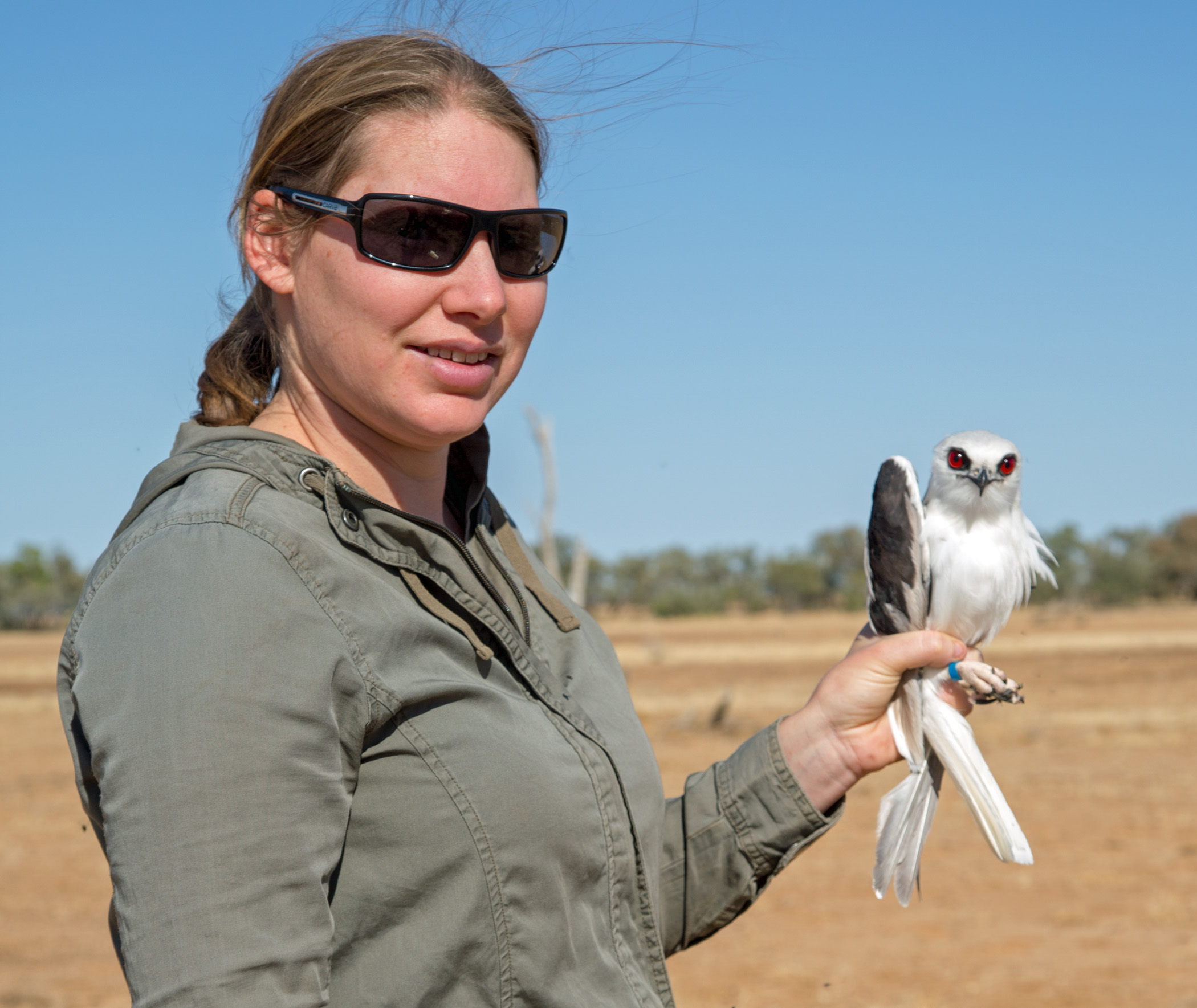 Raptor Research Grant 2023 – BirdLife Australia Raptor Group