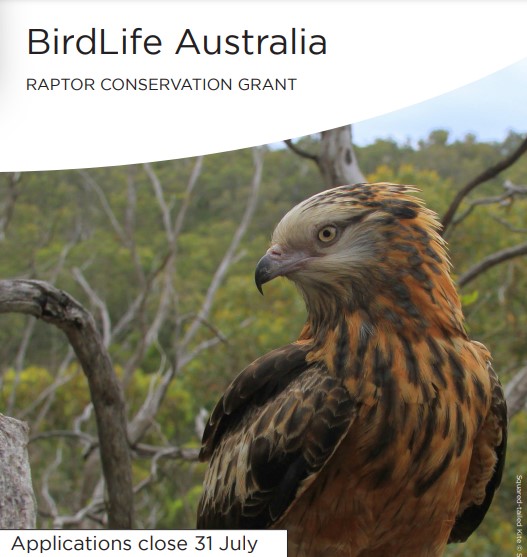 BirdLife Australia Raptor Conservation Grant 2024 – BirdLife Australia ...